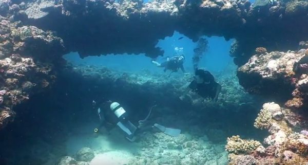Best Scuba Diving Mauritius- Shark , Coral, Deep Sea & Spots